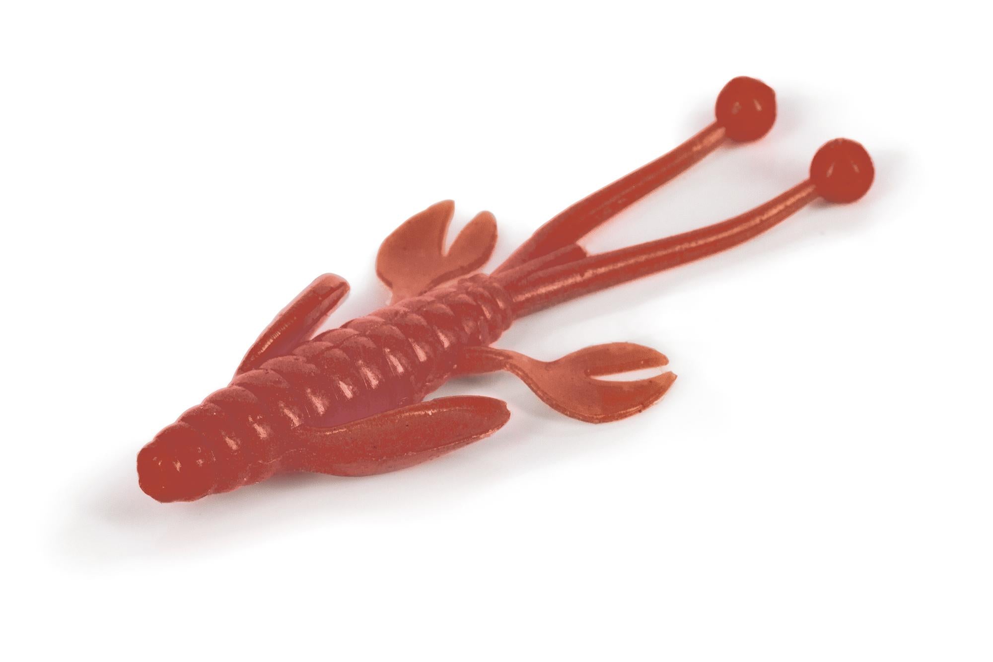 Freaky Rock Worm – SportIT